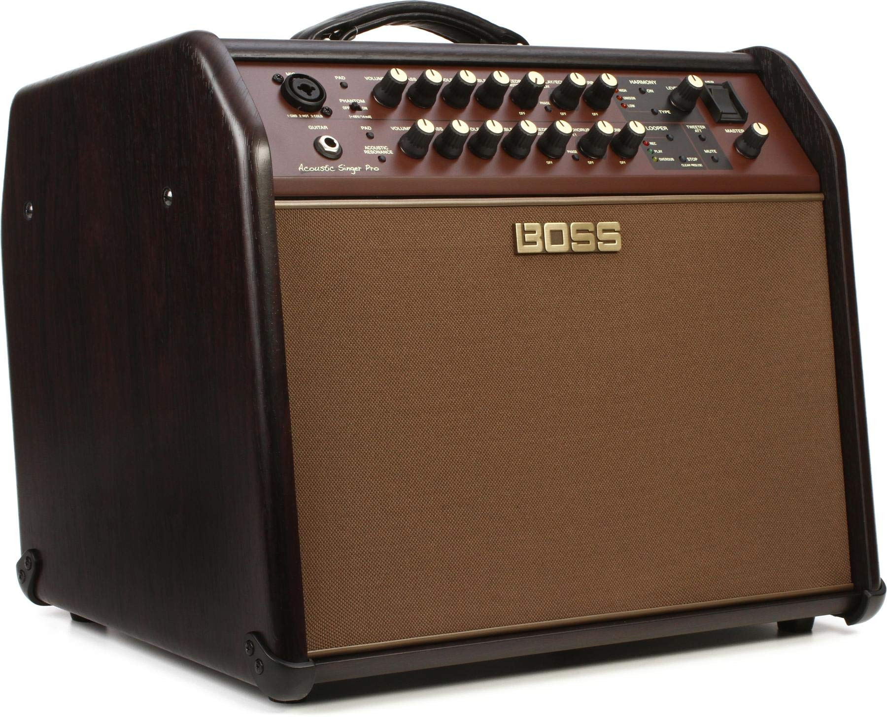 Amazon.com: Boss Acoustic Singer Pro 120-Watt Bi-Amp Acoustic Combo ...