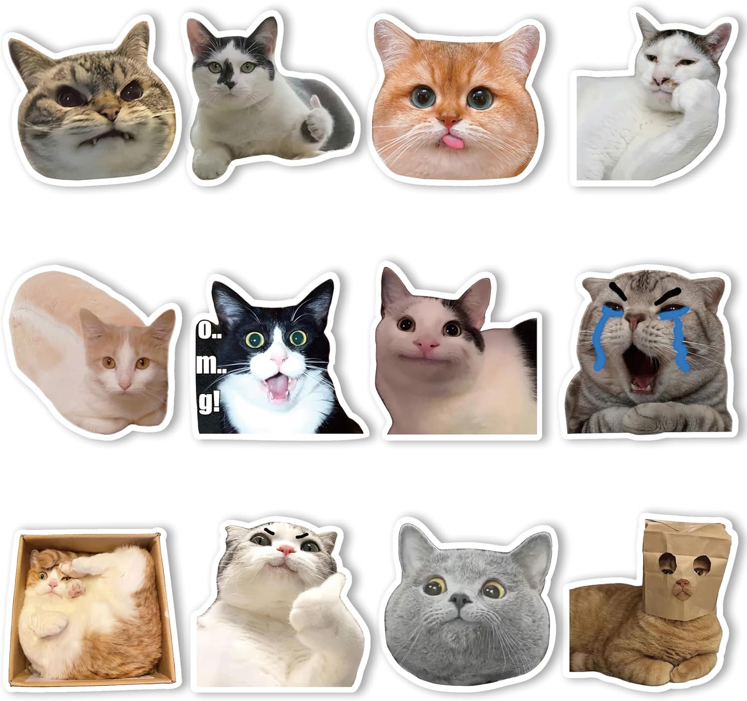 Amazon.com: 12Pcs Funny Cat Meme Fridge Magnets Cute Refrigerator ...