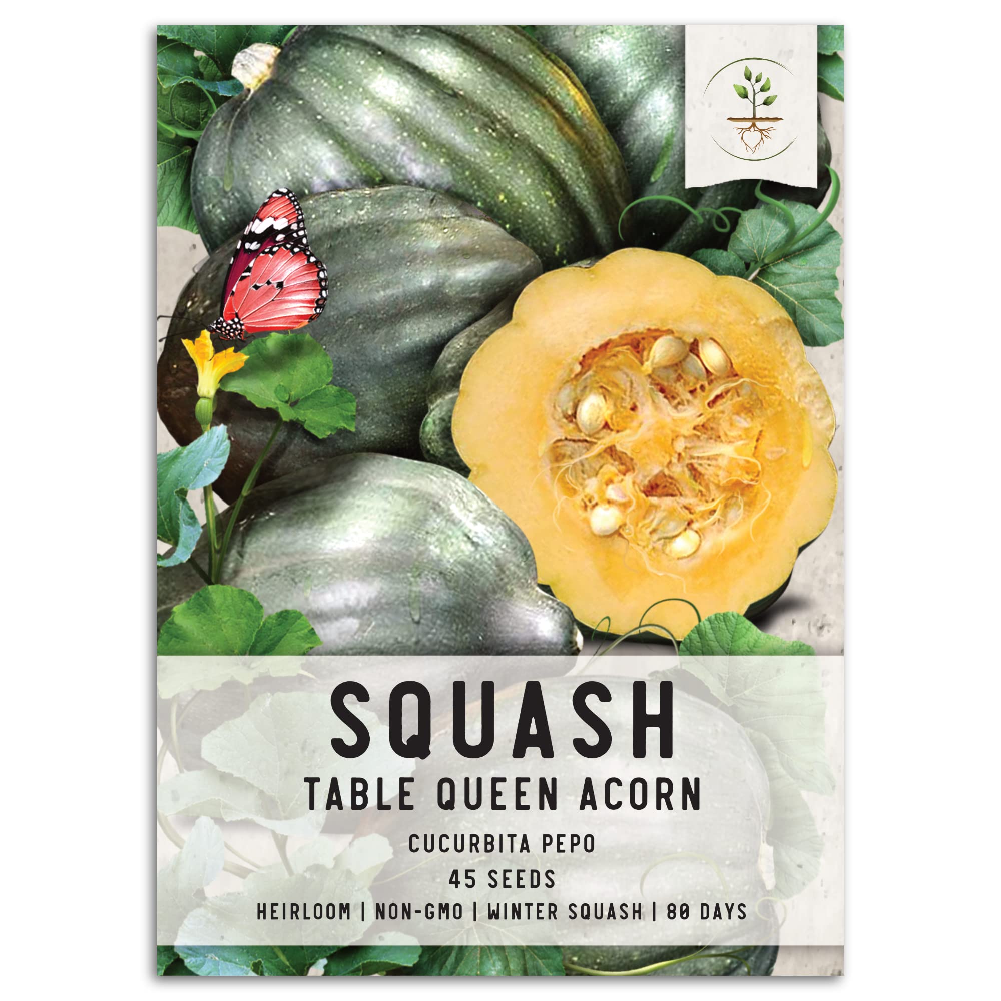 Acorn Squash Seeds
