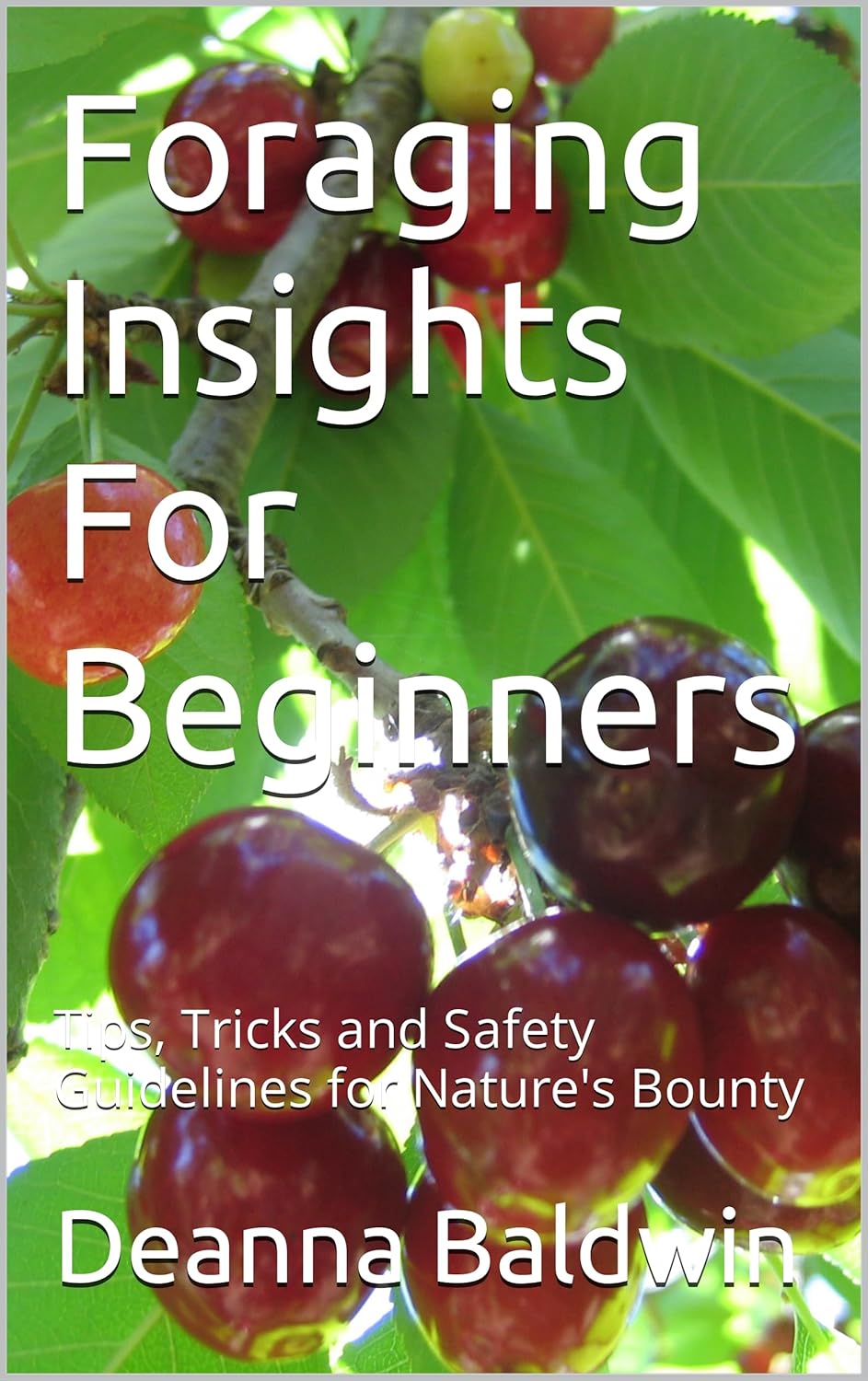 Foraging Insights For Beginners: Tips, Tricks and Safety Guidelines for ...