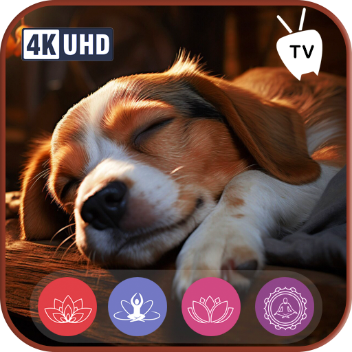 Dog Music - Relaxing Sounds for Dogs with Anxiety - Separation anxiety ...