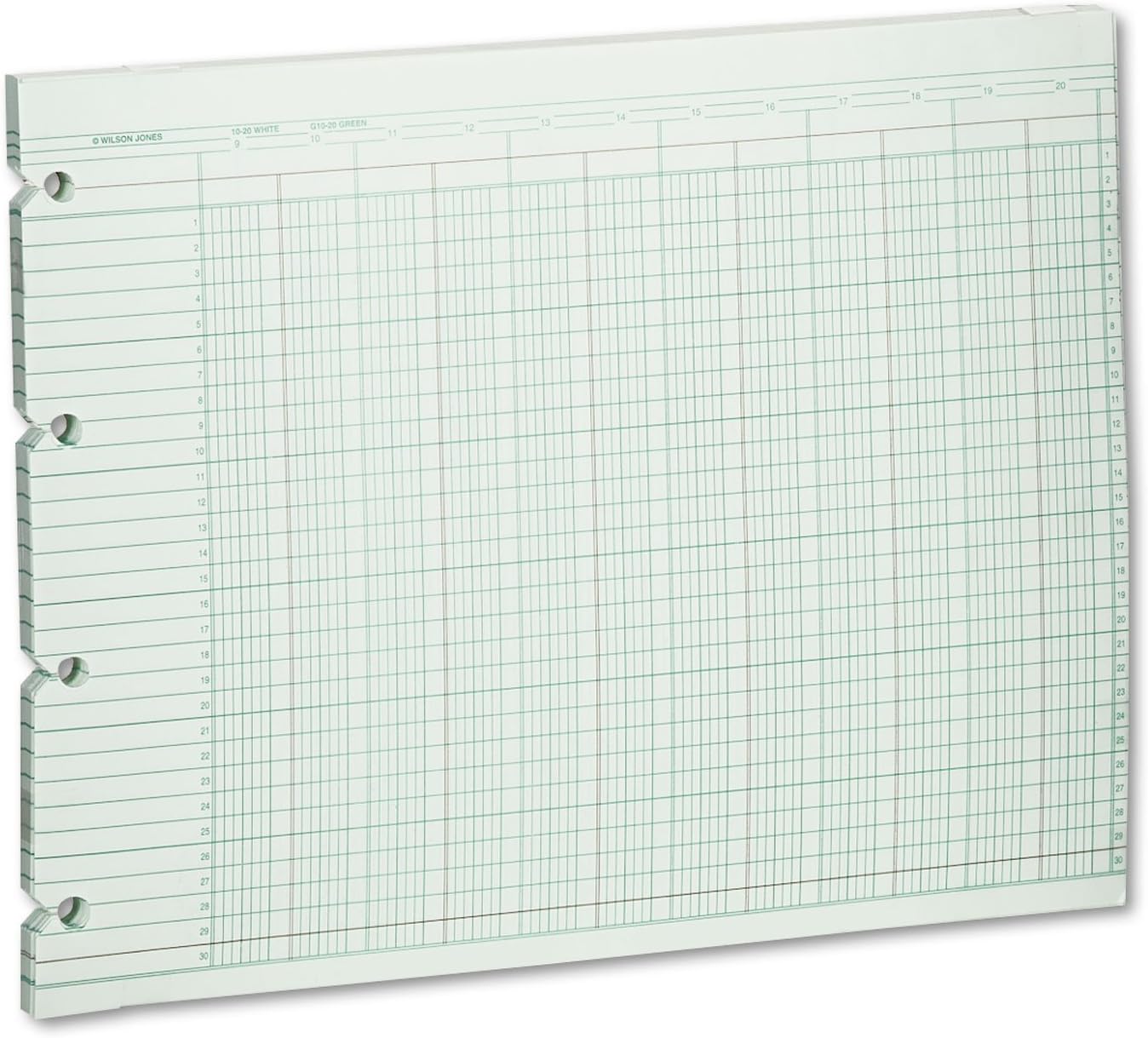Wilson Jones Green Columnar Ruled Ledger Paper, Double Page Format, 20 ...