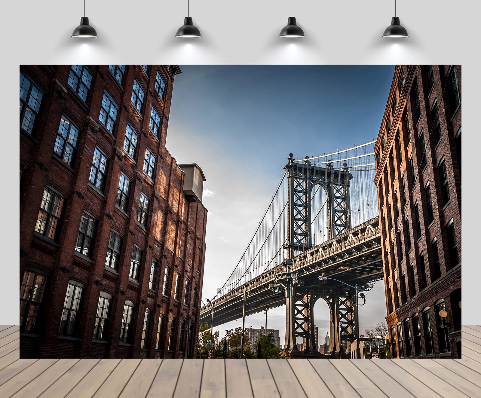 Amazon.com : CHNYWORK 7ftx5ft Manhattan Bridge Backdrop New York City ...