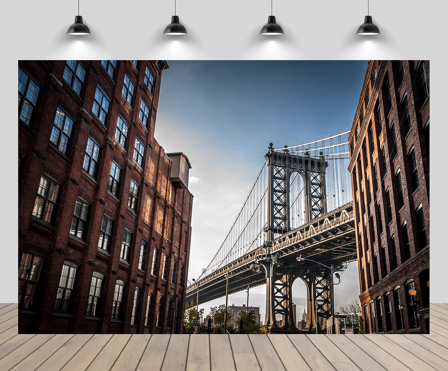 Amazon.com : chnywork 7x5ft Manhattan Bridge Backdrop New York City ...