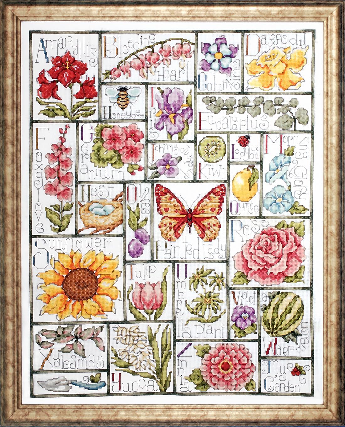 Design Works Floral ABC : Amazon.co.uk: Books