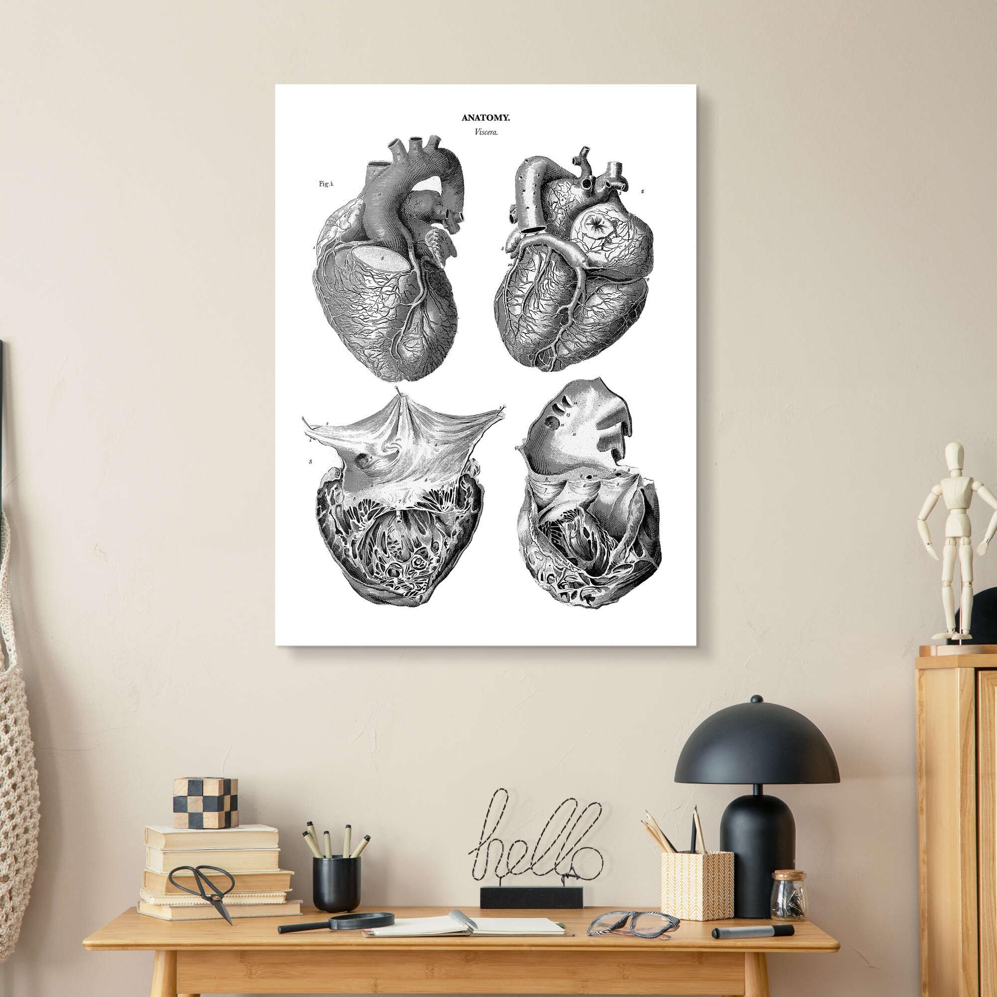 Disegno Anatomico Del Cuore Da Vinci LEONARDO E L'ANATOMIA