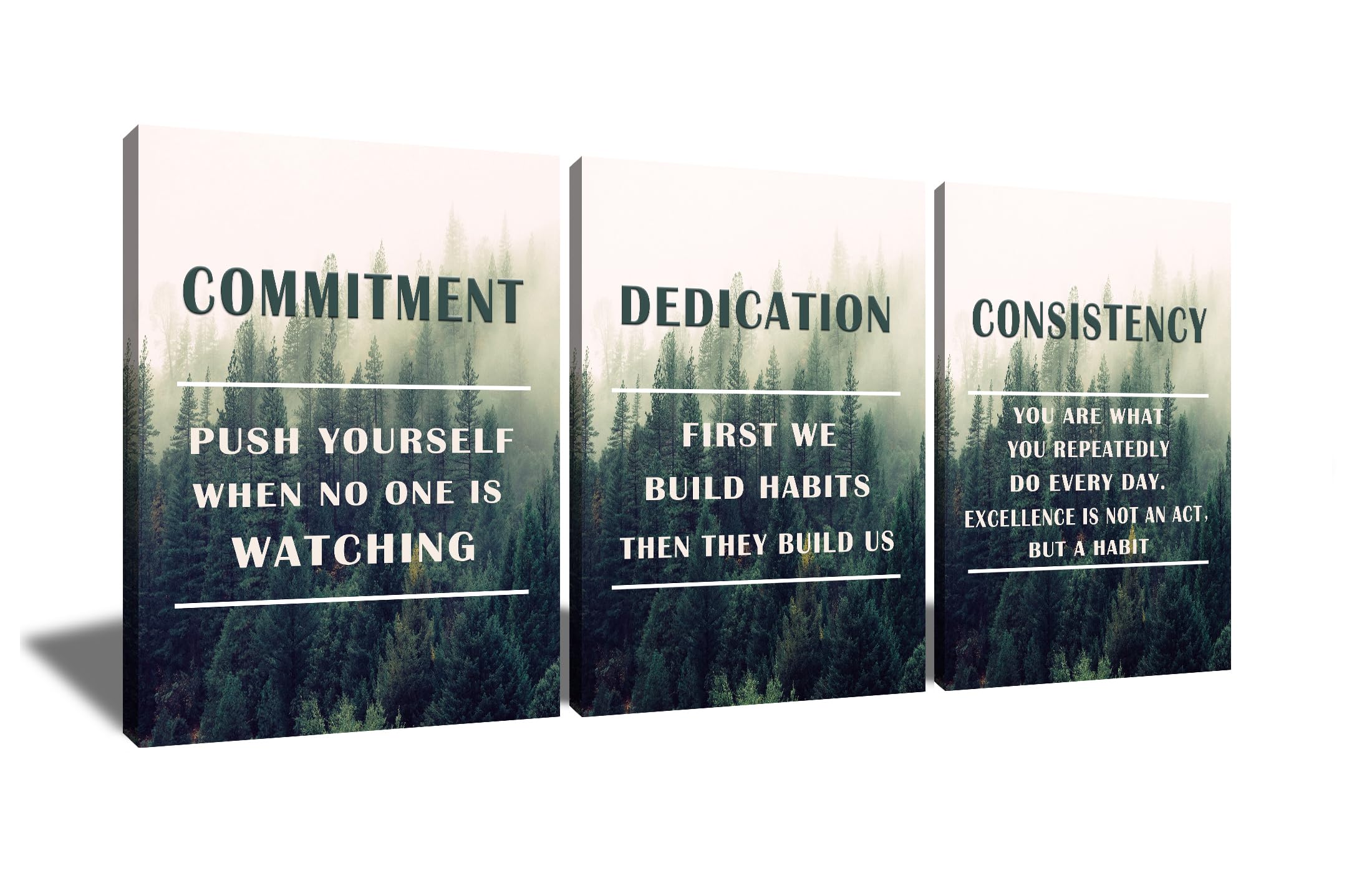 Amazon.com: Inspirational Canvas Wall Art Dedication Consistency ...