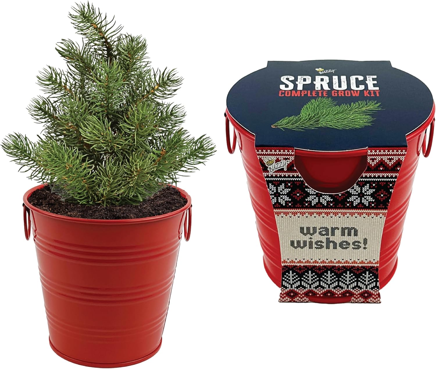 Amazon.com : BUZZY Seeds All-in-One Spruce Tree Grow Kit Holiday Pail ...