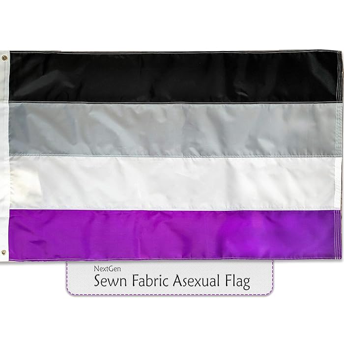 Buy NextGen Asexual Pride Flag Large 5ft x 3ft Sewn Nylon Fabric Double ...