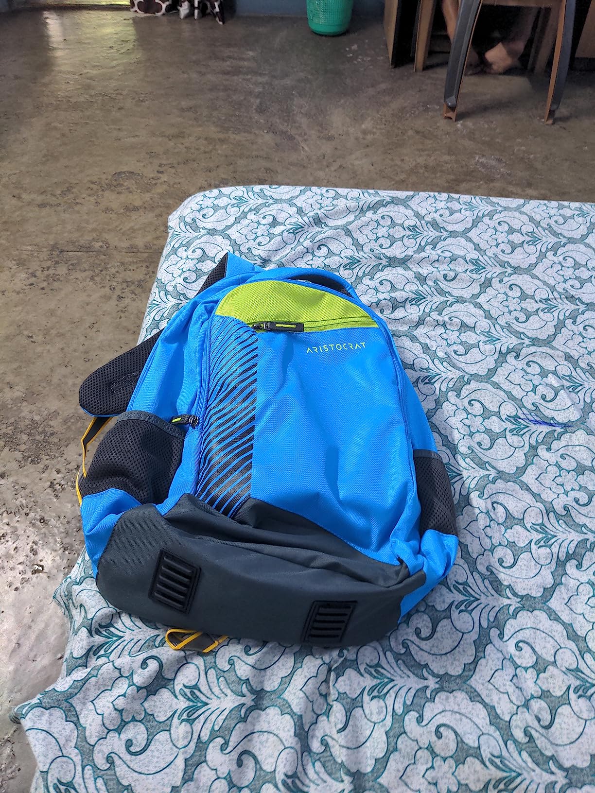 Buy Aristrocrat COSMIC 26L Polyester Light blue Backpack at Amazon.in