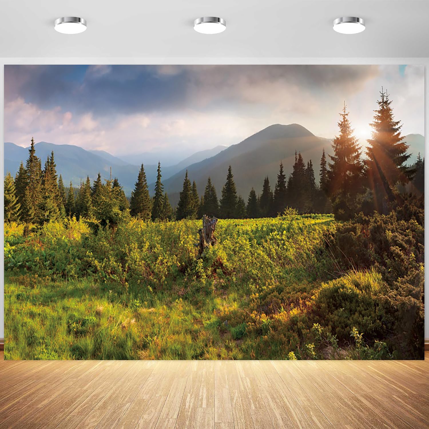 Amazon.com : 10x8ft Nature Landscape Backdrop Mountain Forest Pine ...