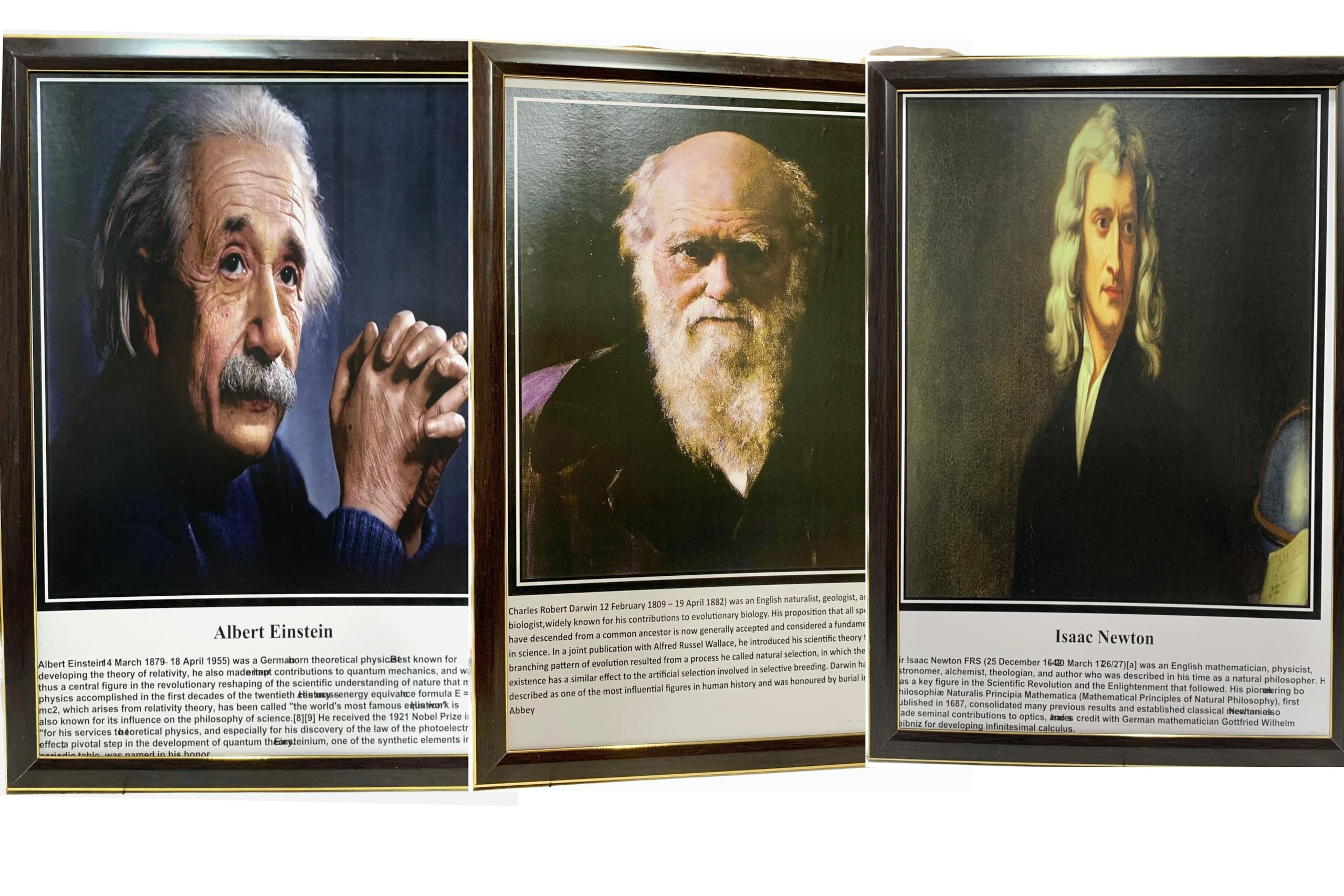 The Labworld Scientist Portrait Albert Einstein,Issac Newton&Charles ...