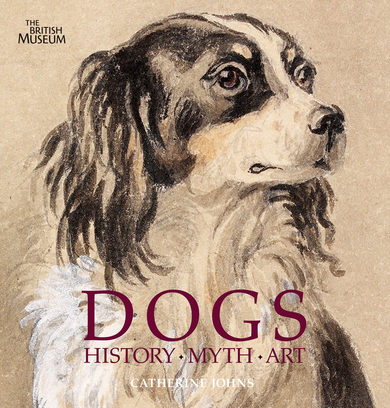 Dogs: History . Myth . Art (Gift Books): Amazon.co.uk: Catherine Johns ...