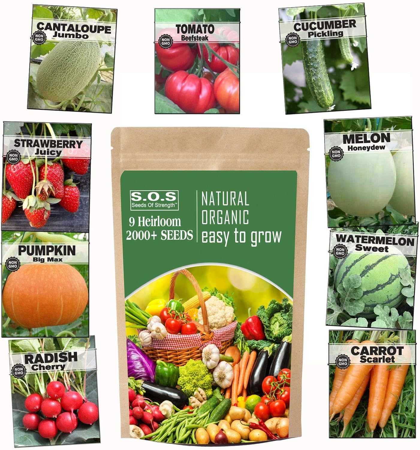 Amazon.com : Heirloom Vegetable Seeds -9 Variety - Non GMO Vegetable ...