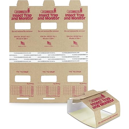 Amazon.com : RESCUE! Spider Traps – Catches Brown Recluse, Hobo Spiders ...