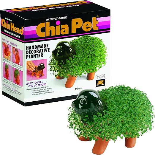 Amazon.com : Chia Pet Puppy with Seed Pack, Decorative Pottery Planter ...