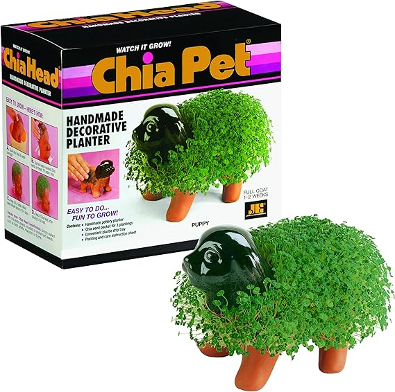 Amazon.com : Chia Pet Puppy with Seed Pack, Decorative Pottery Planter ...