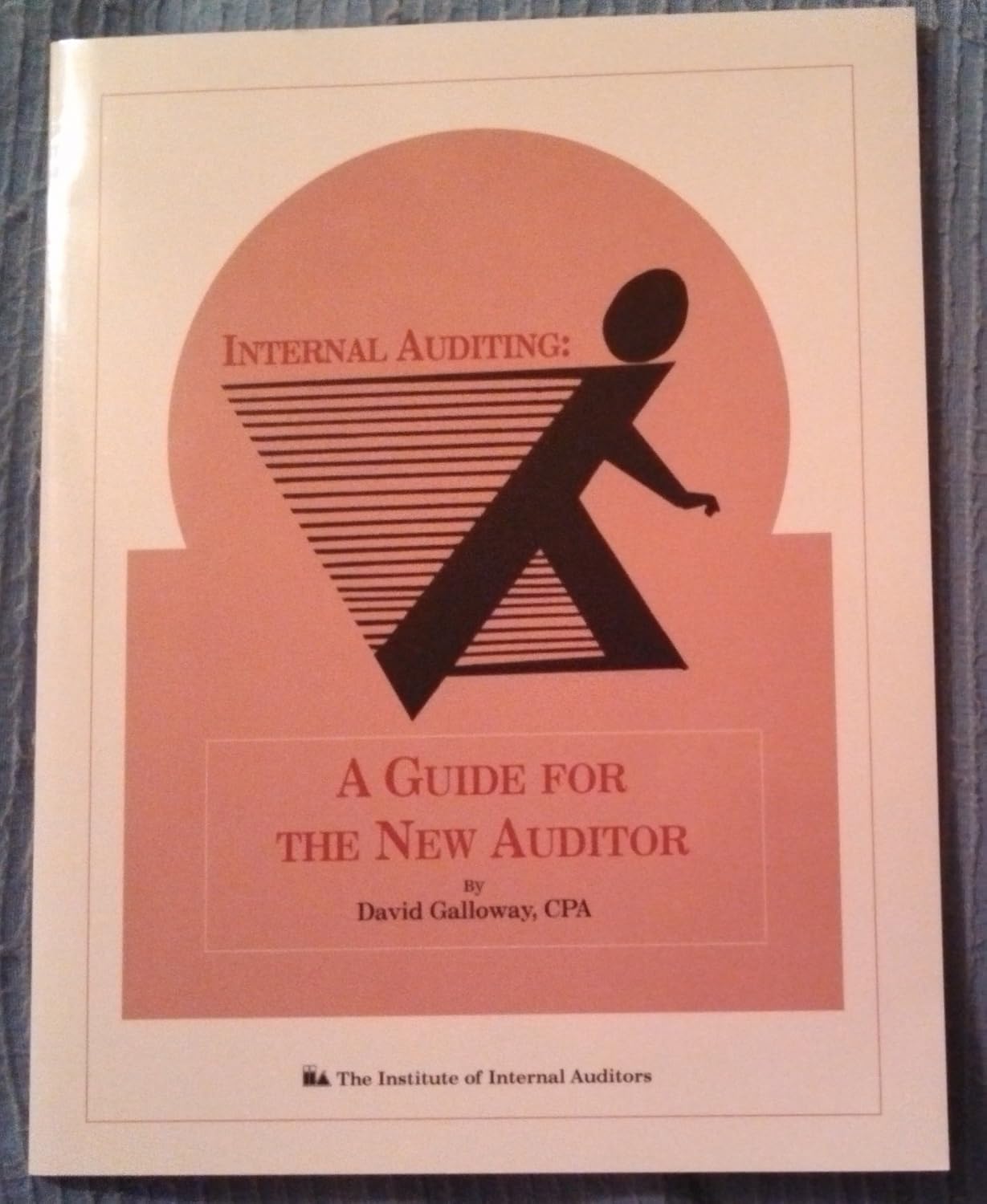 Internal Auditor: A Guide for the New Auditor: David Galloway ...