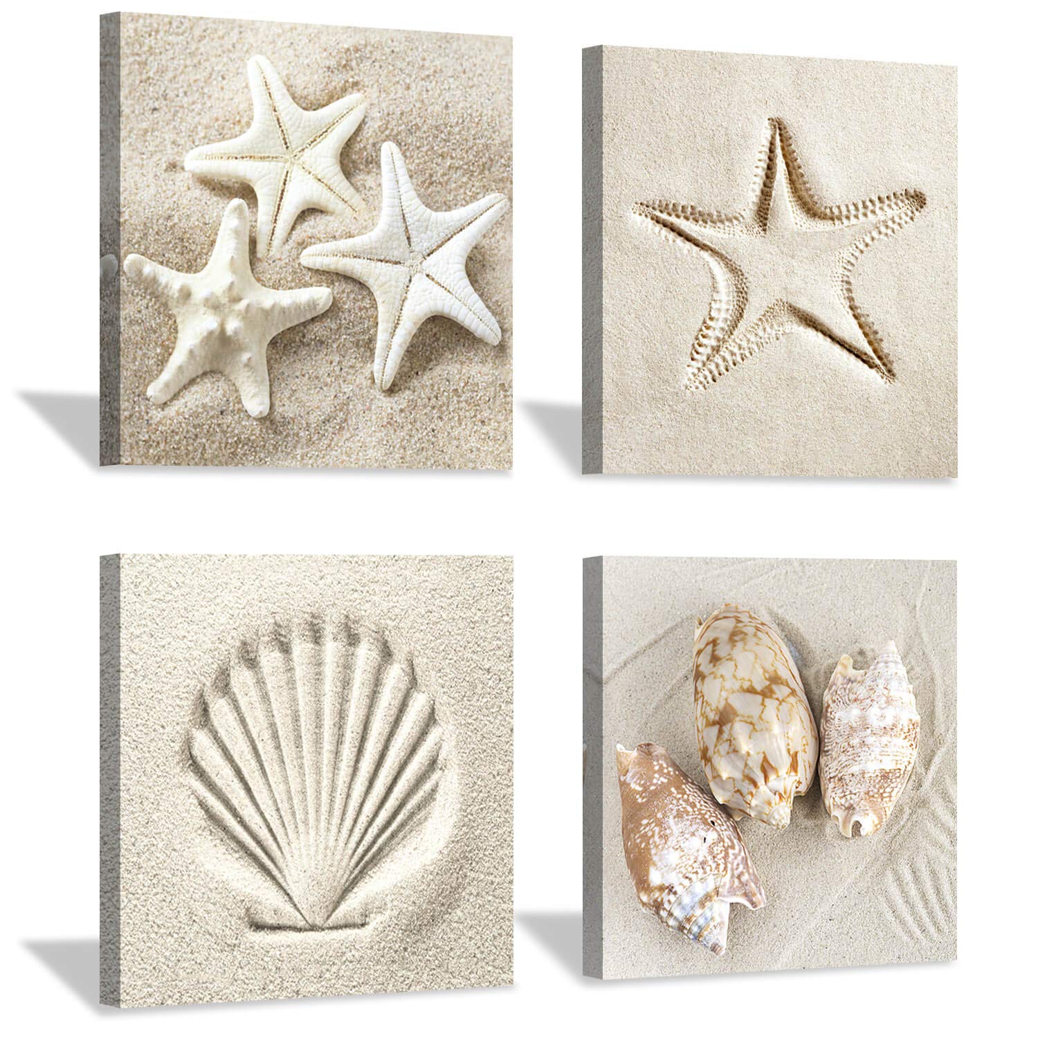 Amazon.com: Coastal Serene Canvas Wall Art: Shells on Beach Sand Giclee ...