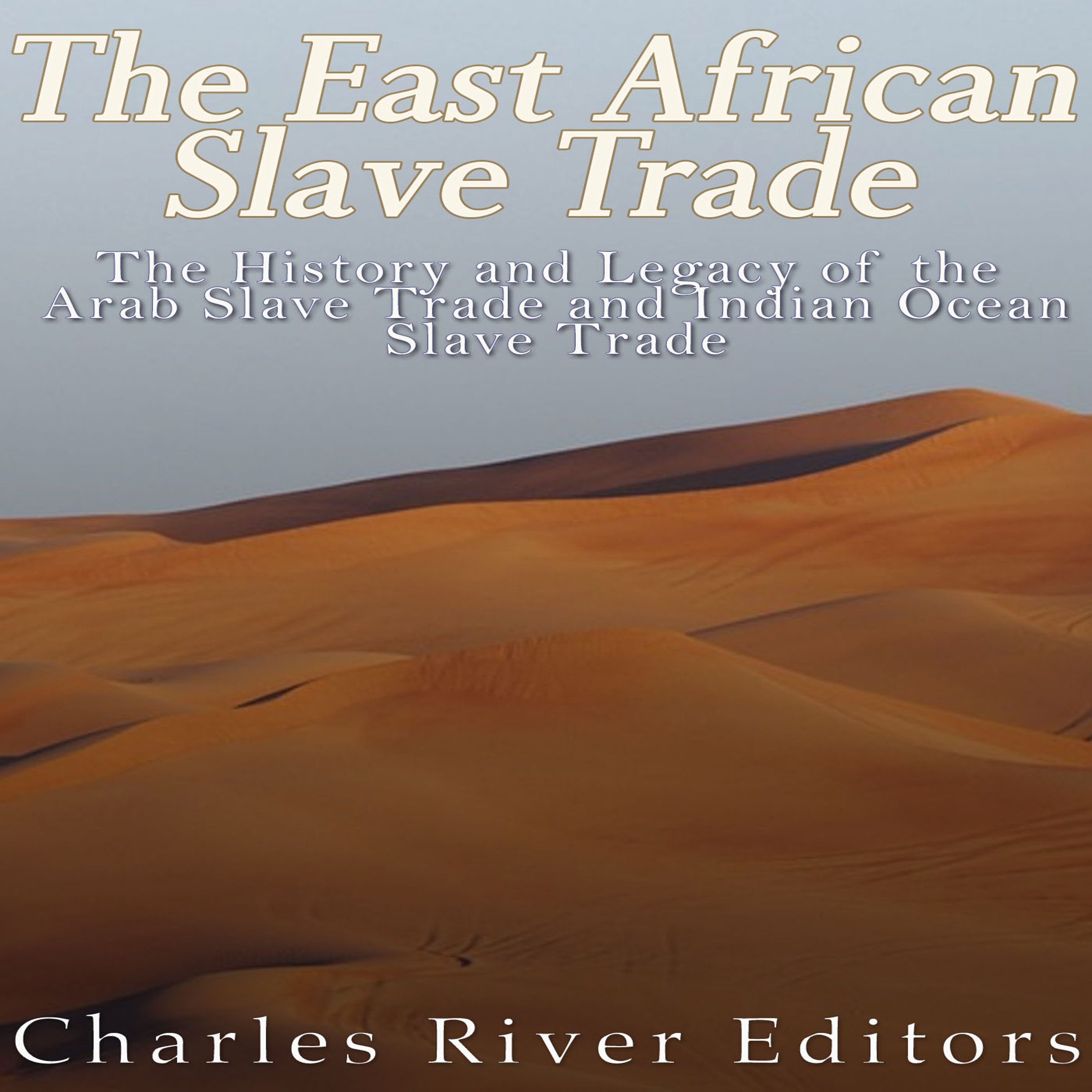 Buy The East African Slave Trade: The History and Legacy of the Arab ...