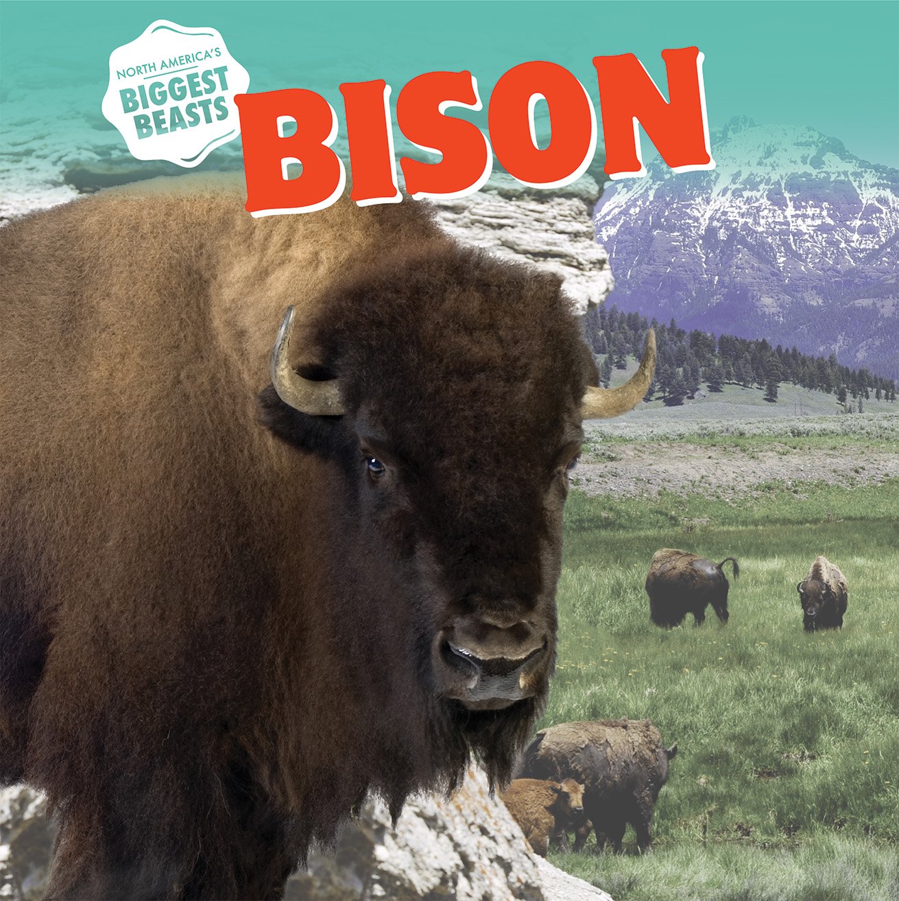 Bison (North America's Biggest Beasts): Anthony, David: 9781508142881 ...