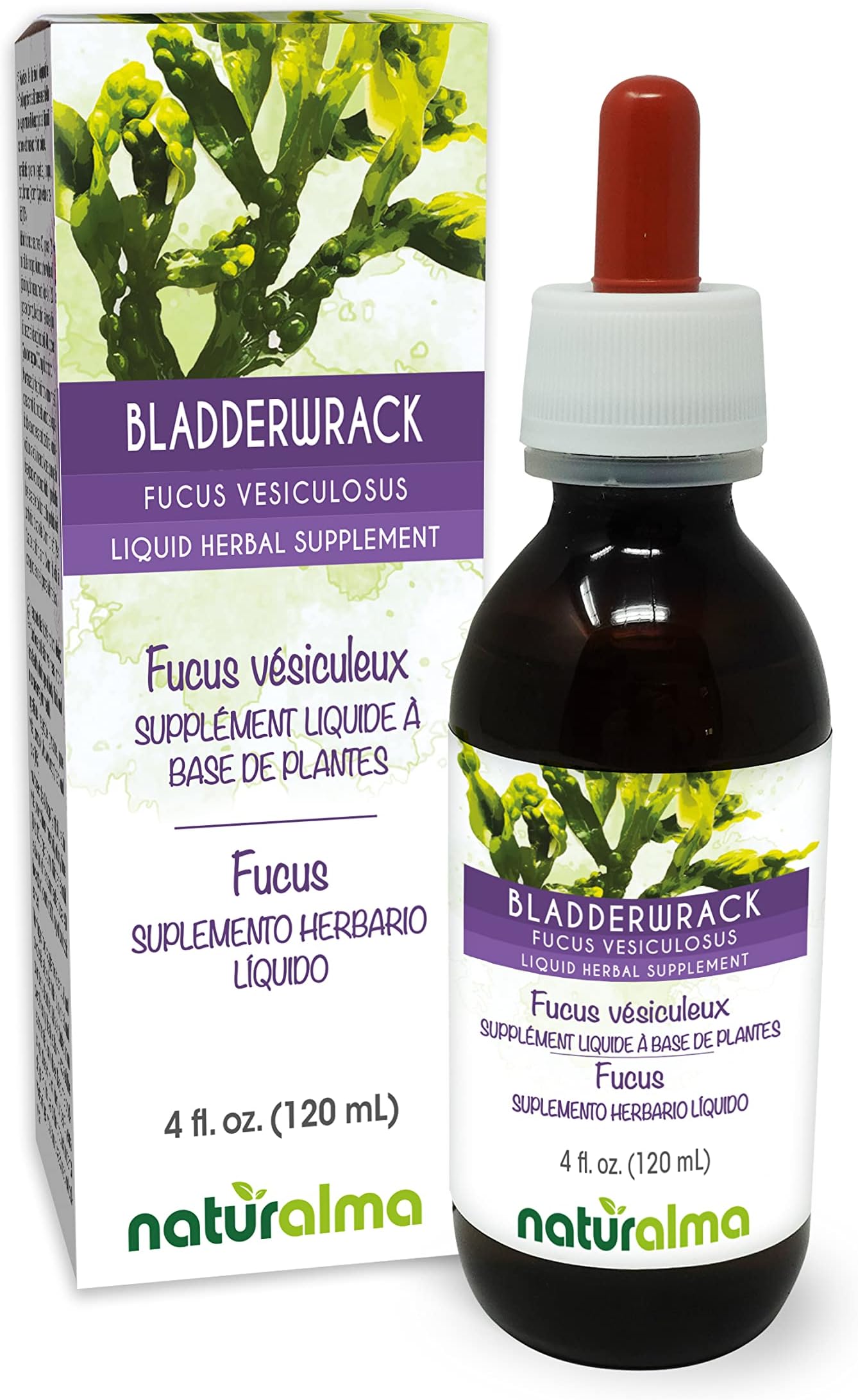 Amazon.com: Naturalma Bladderwrack or Sea Oak (Fucus vesiculosus ...