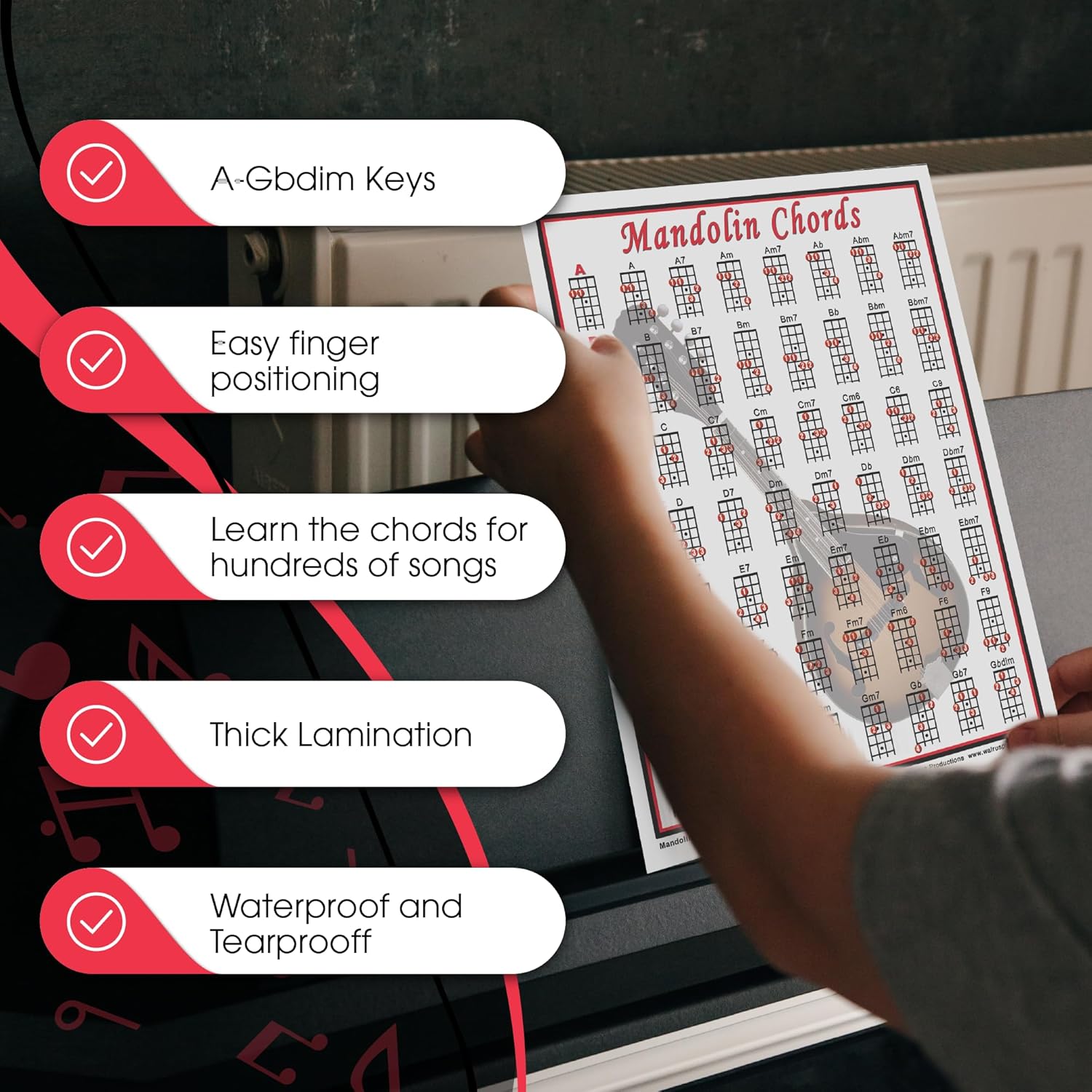 Mini Mandolin Chord Chart Poster - Laminated Nepal | Ubuy