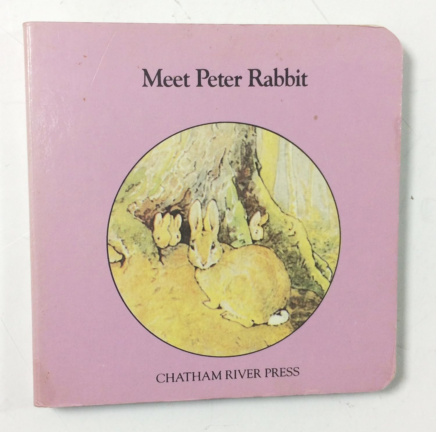 Meet Peter Rabbit: Editor: Amazon.com: Books