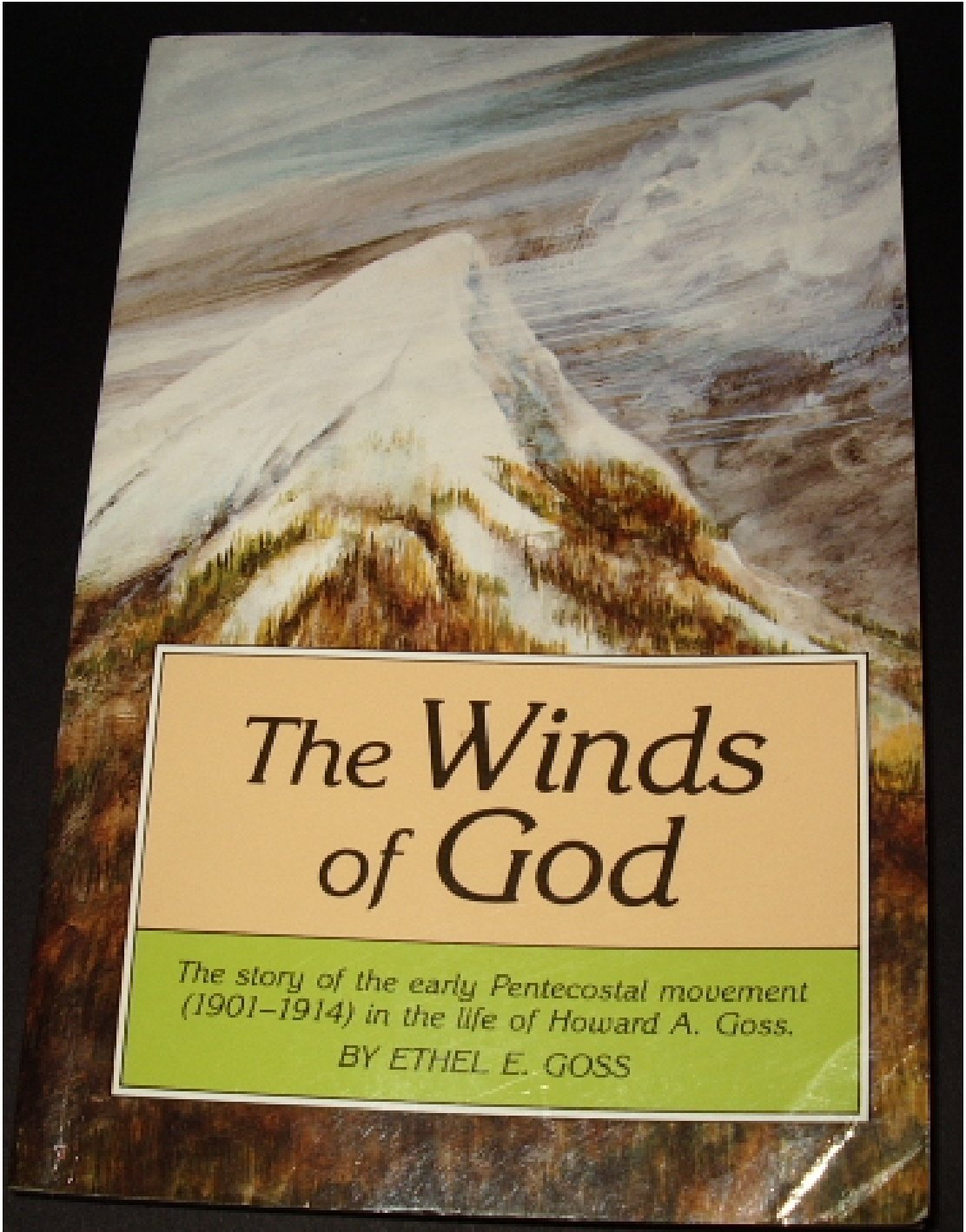 The Winds of God: The Story of the Early Pentecostal Movement (1901 ...