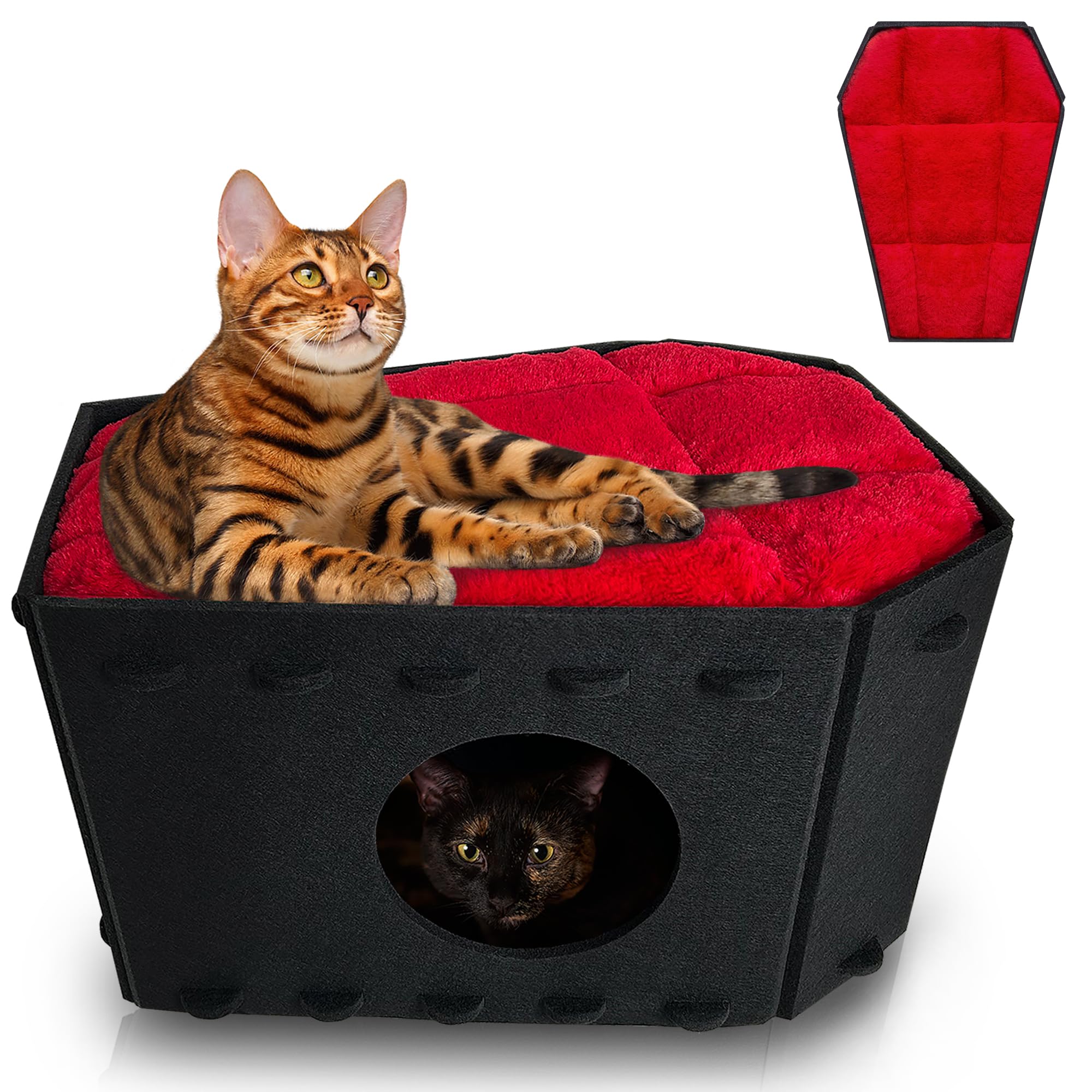 Amazon.com : Gothic Cat Bed for Indoor Cats or Pets, Foldable as ...