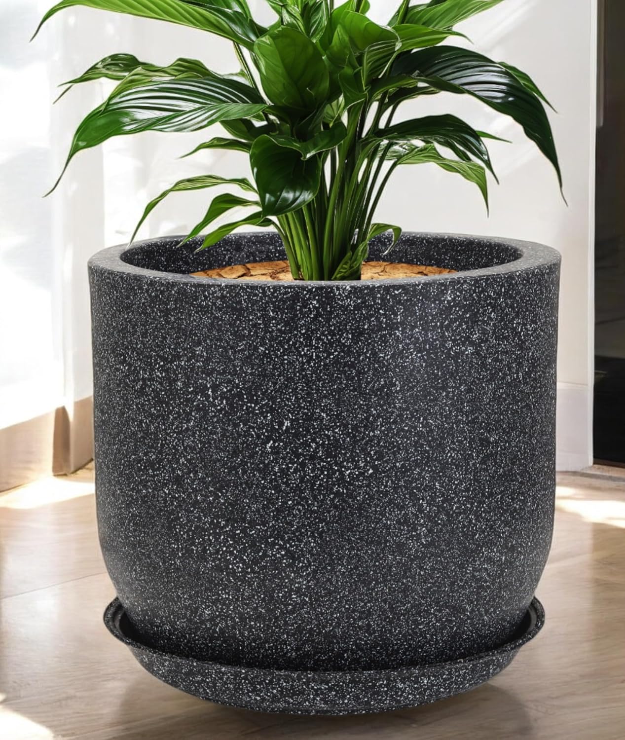 GTB Jaguar Pots for Plants Highly Durable Polymers Lightweight Indoor ...