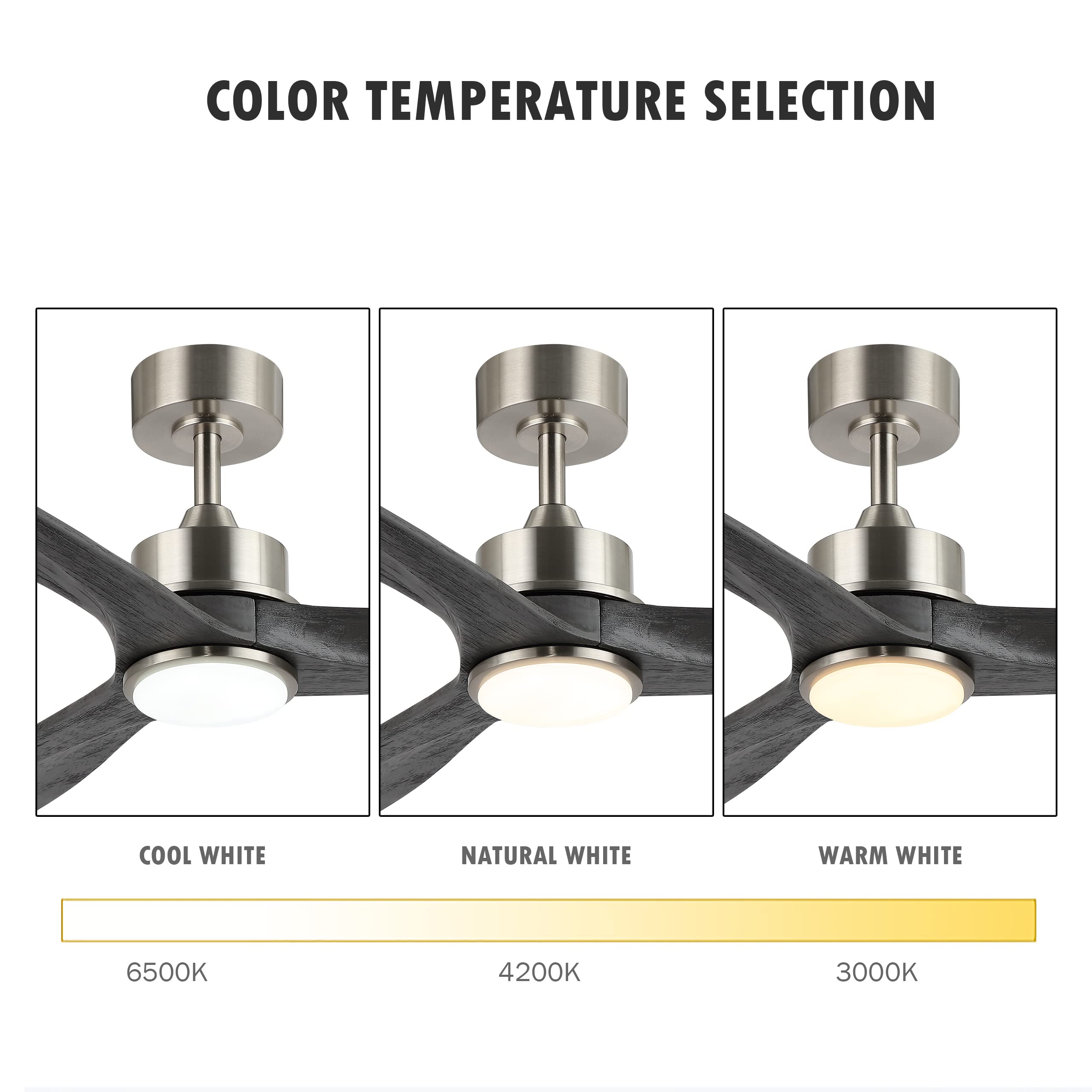 WINGBO 60 Inch DC Ceiling Fan with Lights and Remote Control, 3 ...