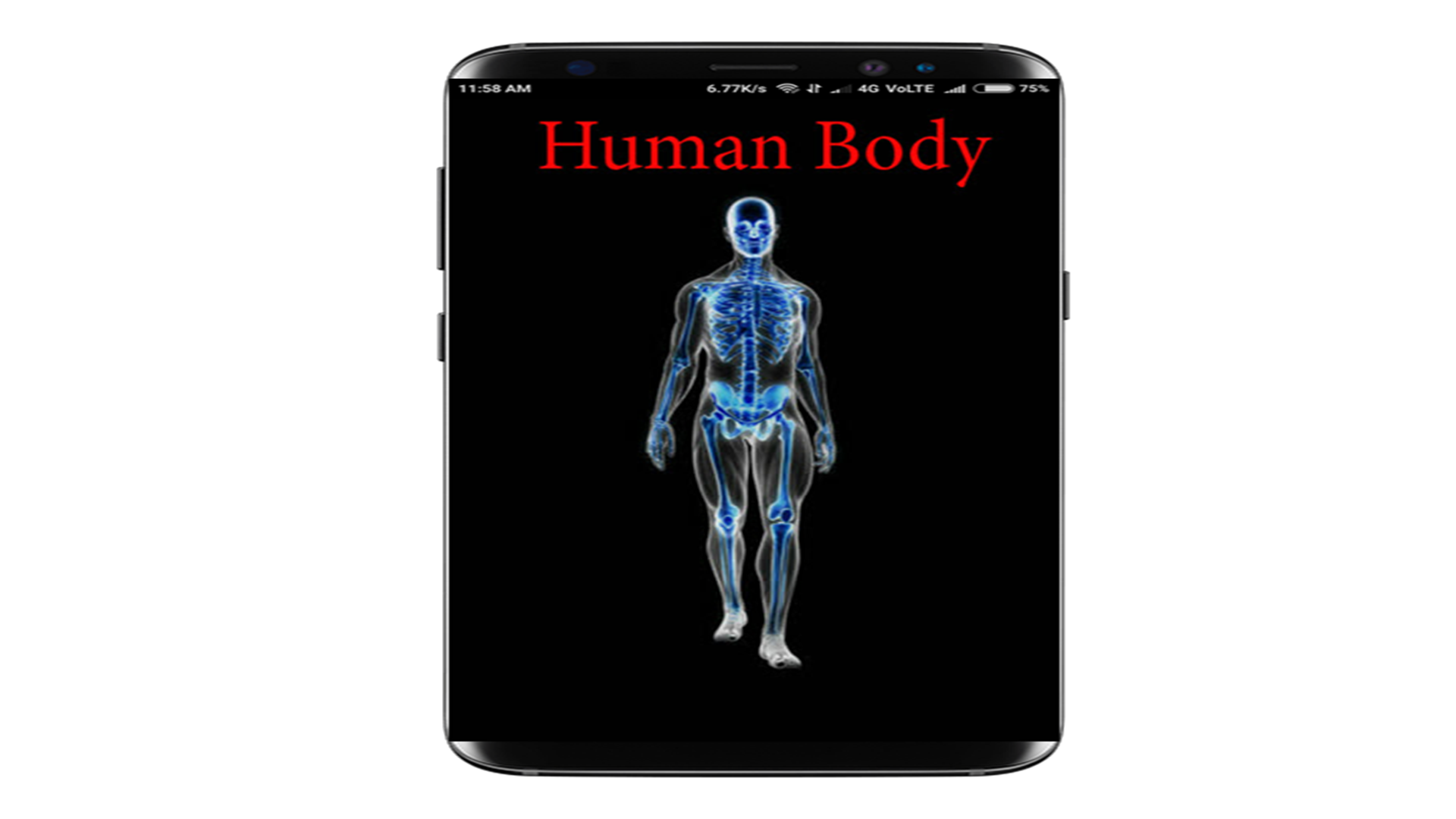 Human Body Parts For Kids Amazon in Appstore For Android human-body-parts-for-kids-amazon-in-appstore-for-android