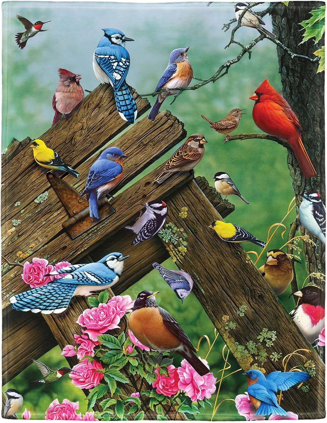 Amazon.com: KLRIGR Soft Cozy Fleece Throw Blanket for Couch, Birds and ...