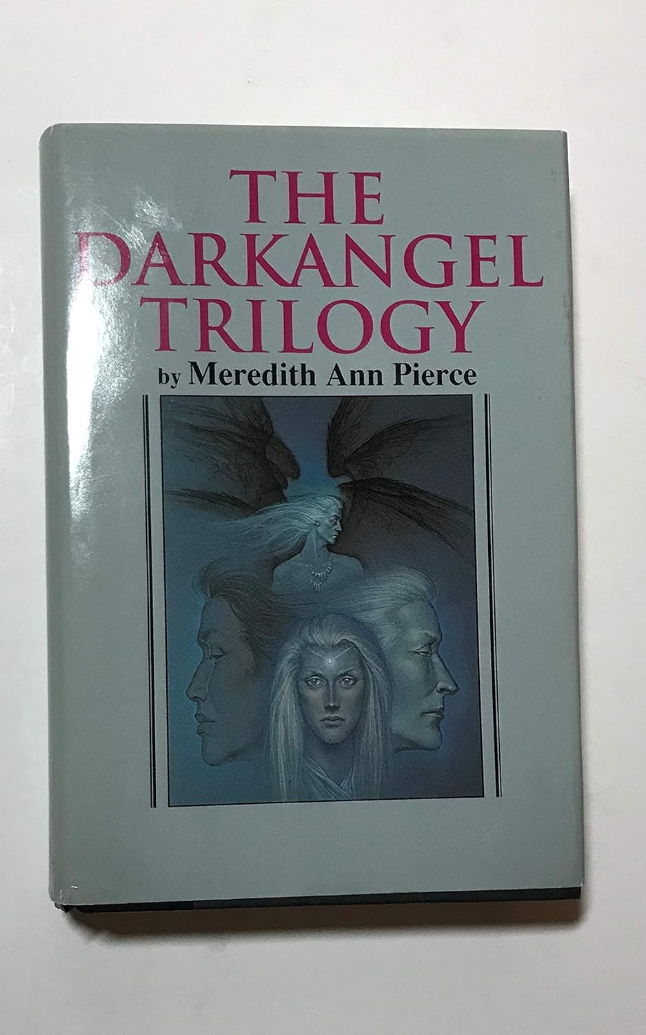 The Dark Angel Trilogy: Pierce, Meredith Ann: Amazon.com: Books