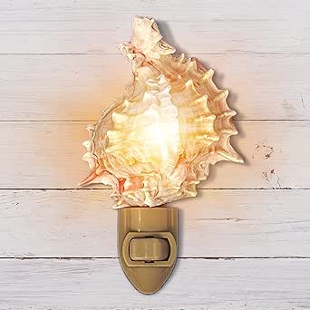 Tumbler Home Shell Night Light, Seashell Nightlight for Bathroom ...