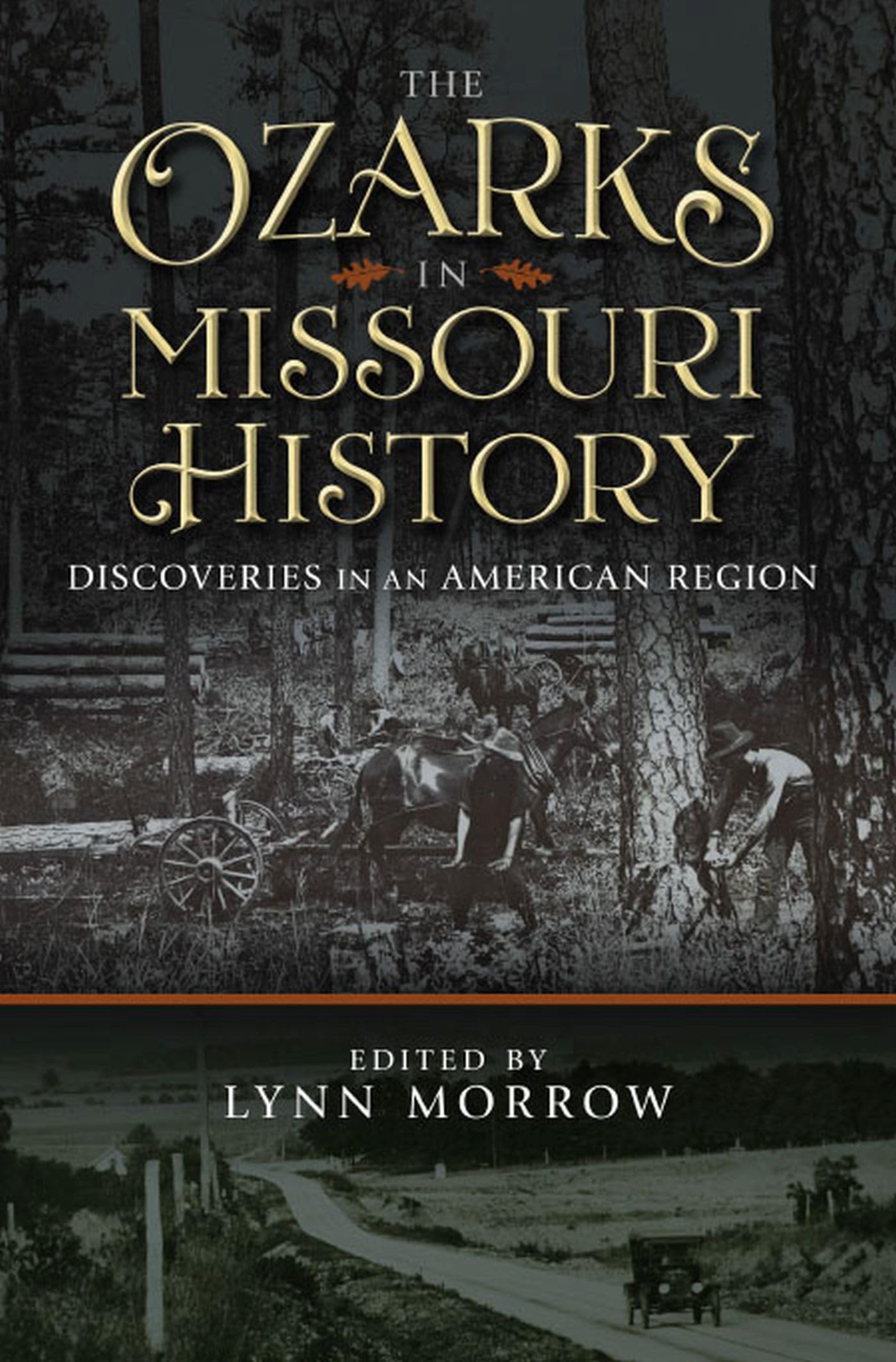 The Ozarks in Missouri History: Discoveries in an American Region ...