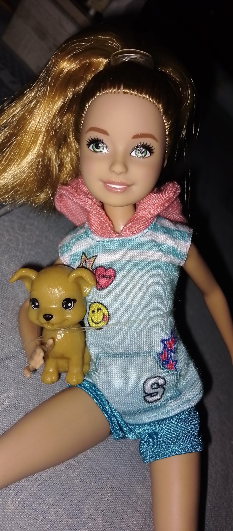 Barbie Stacie Doll with Pet Dog, from and Stacie to The Rescue Movie ...