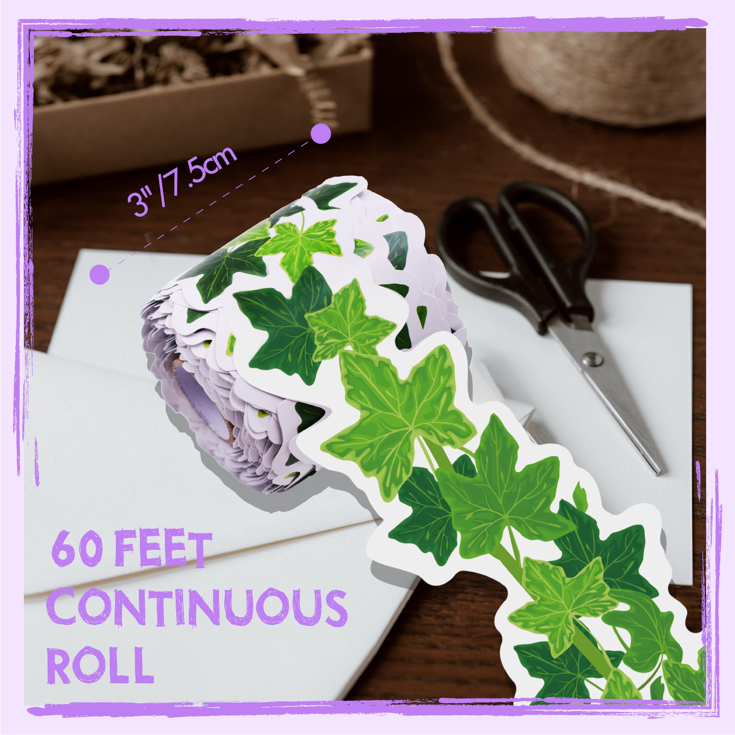 Snapklik.com : 60 Feet Bulletin Board Borders, Scalloped Rolled Border Trim