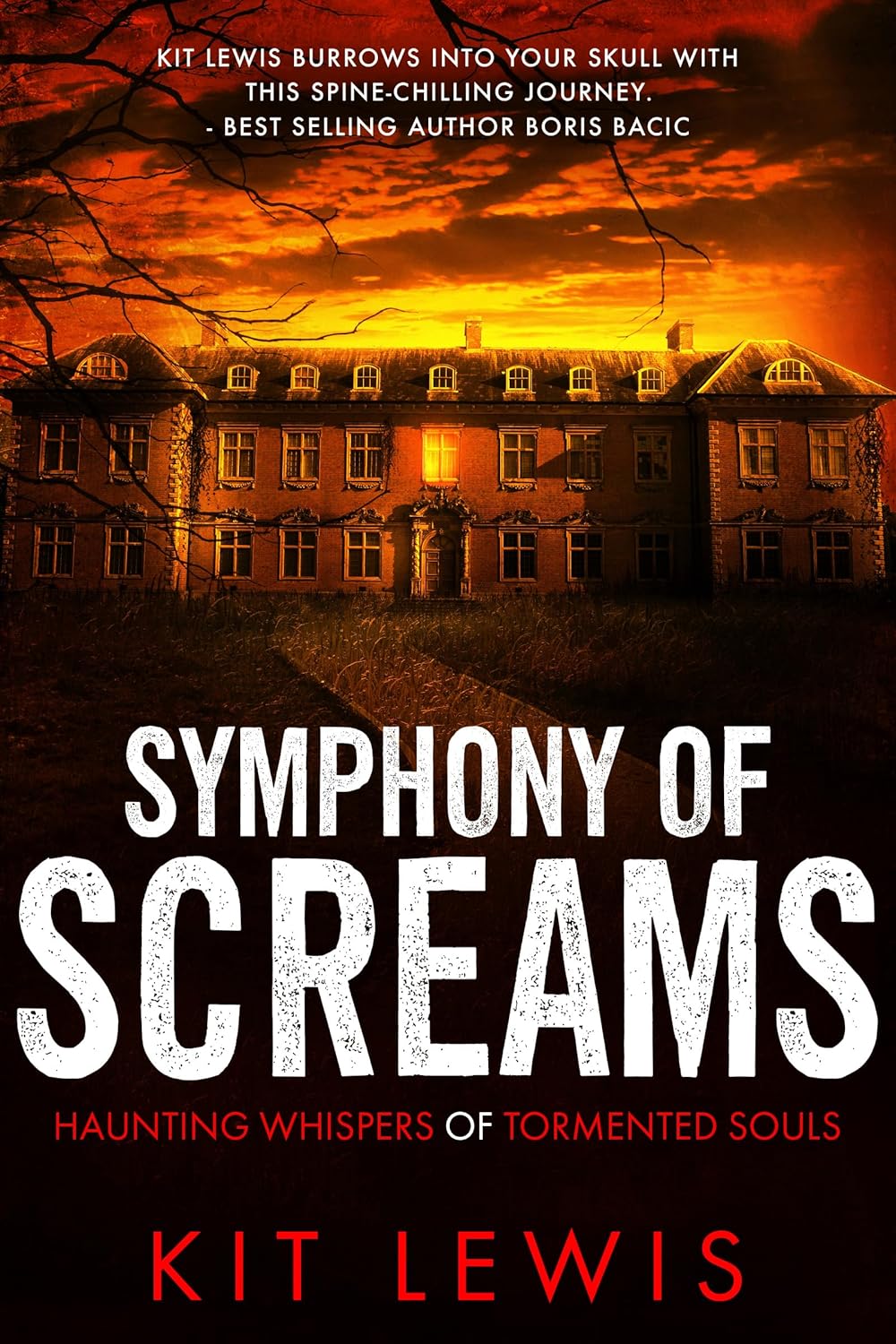 Symphony of Screams - Kindle edition by Lewis, Kit. Literature ...