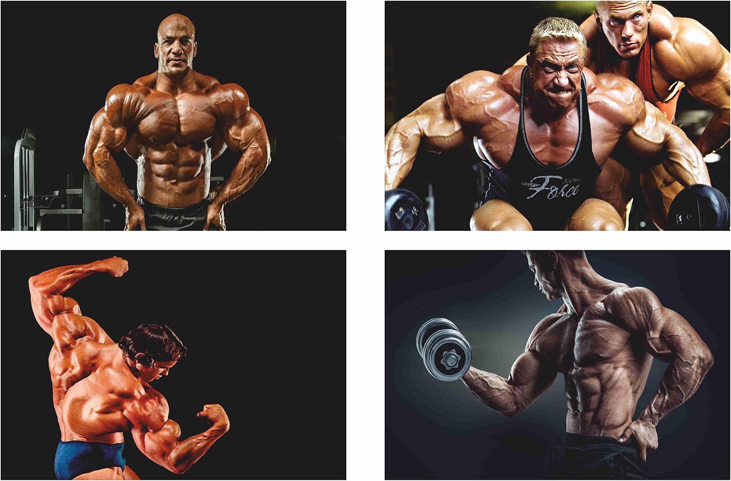 BALDAU PRINTS Body Builders Motivational Combo Poster Set of 4 Posters ...