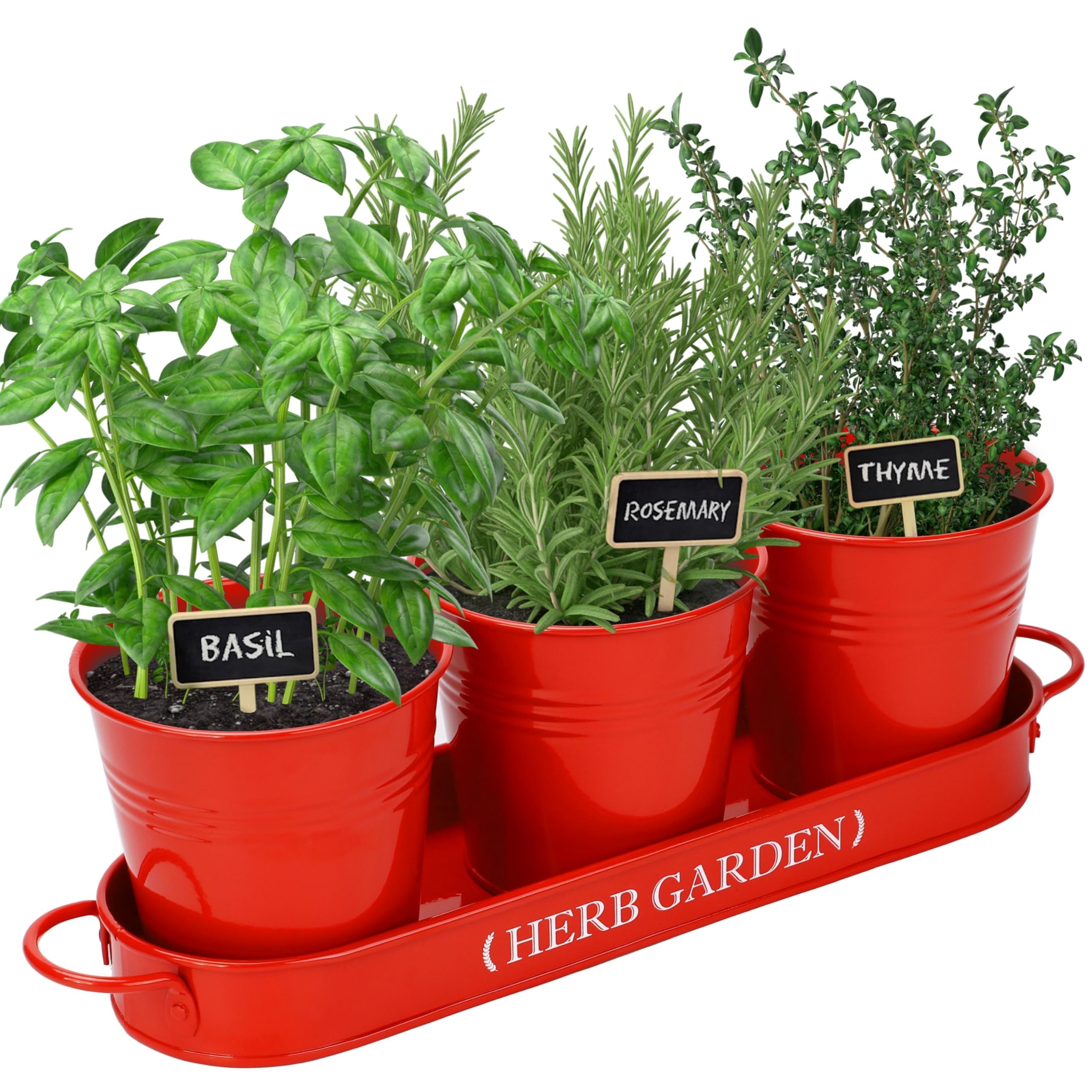 Snapklik.com : PERFNIQUE Indoor Herb Garden, Herb Planter For Indoor ...