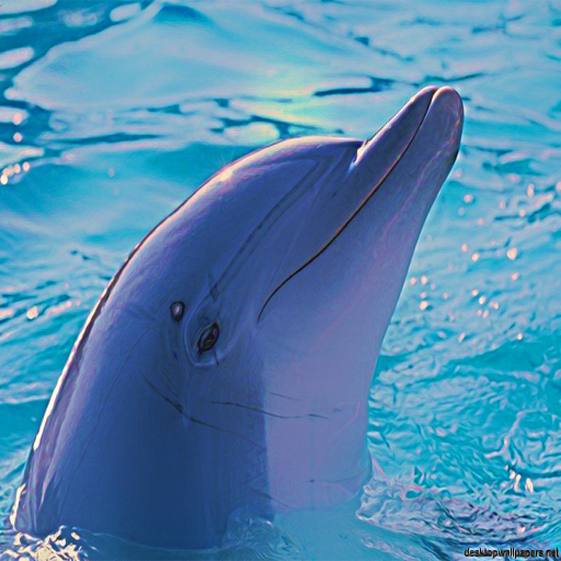 Dolphin' 's - Swimming and Jumping to Your Phone or Tablet - App on ...