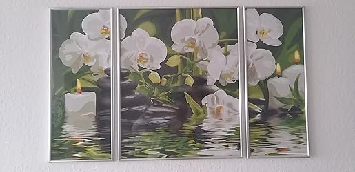 Schipper 609260681 Malen nach Zahlen, Wellness Oase - Bilder malen für Erwachsene, inklusive ...