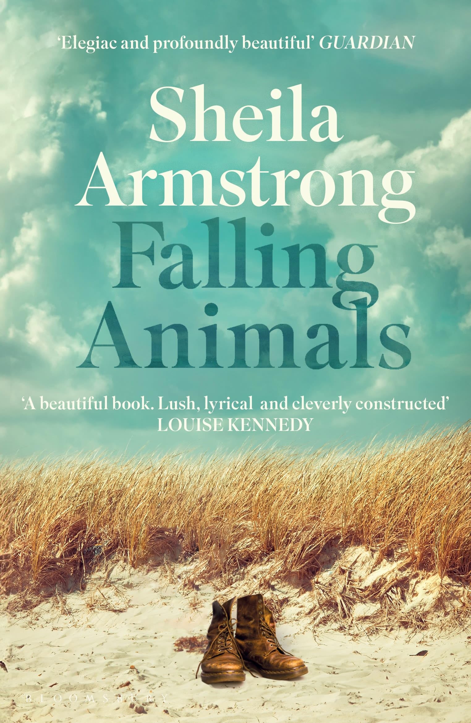 Falling Animals: A BBC 2 Between the Covers Book Club Pick: Armstrong ...