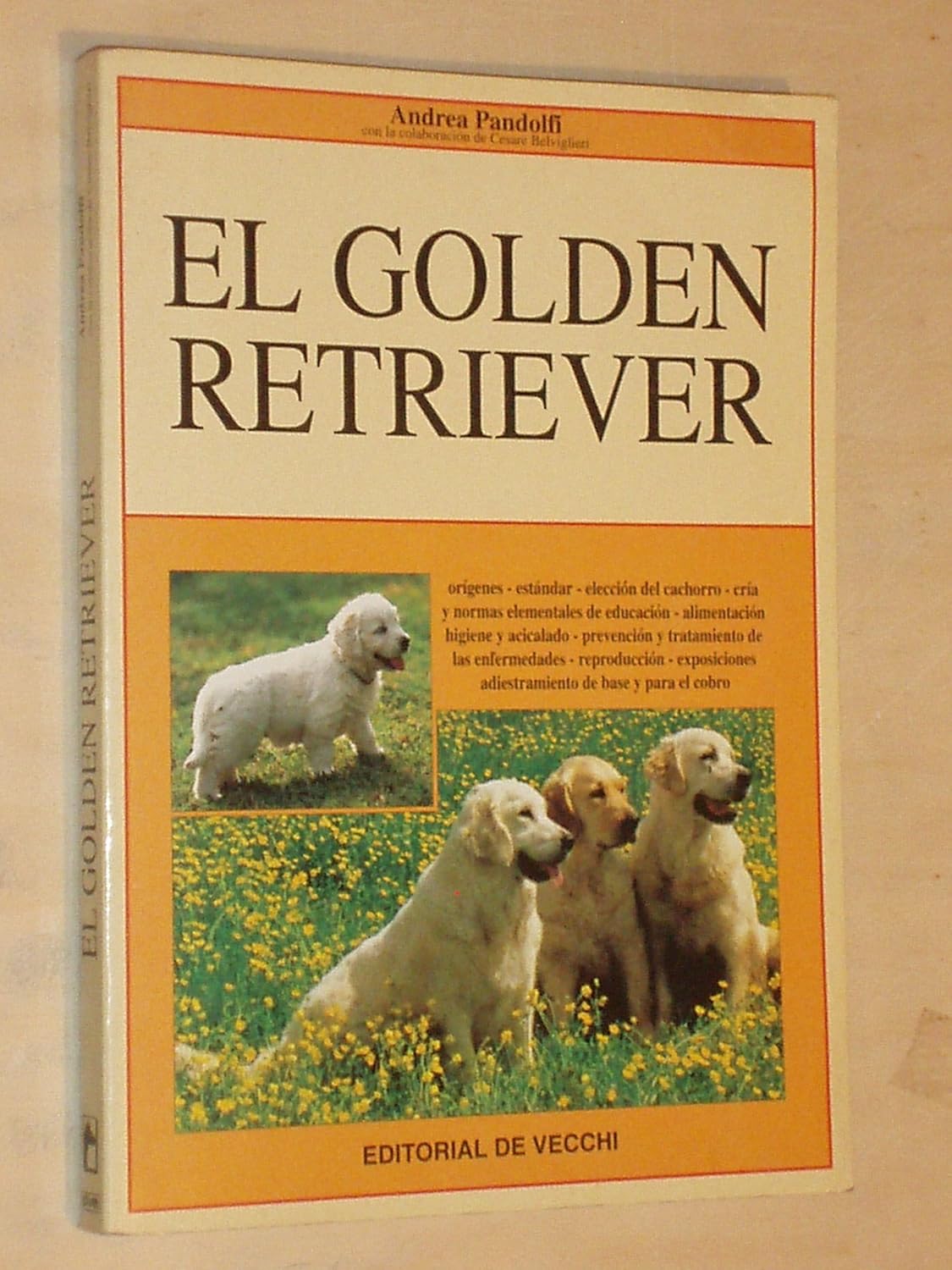 El Golden Retriever (Spanish Edition): Pandolfi, Andrea: 9788431521080 ...