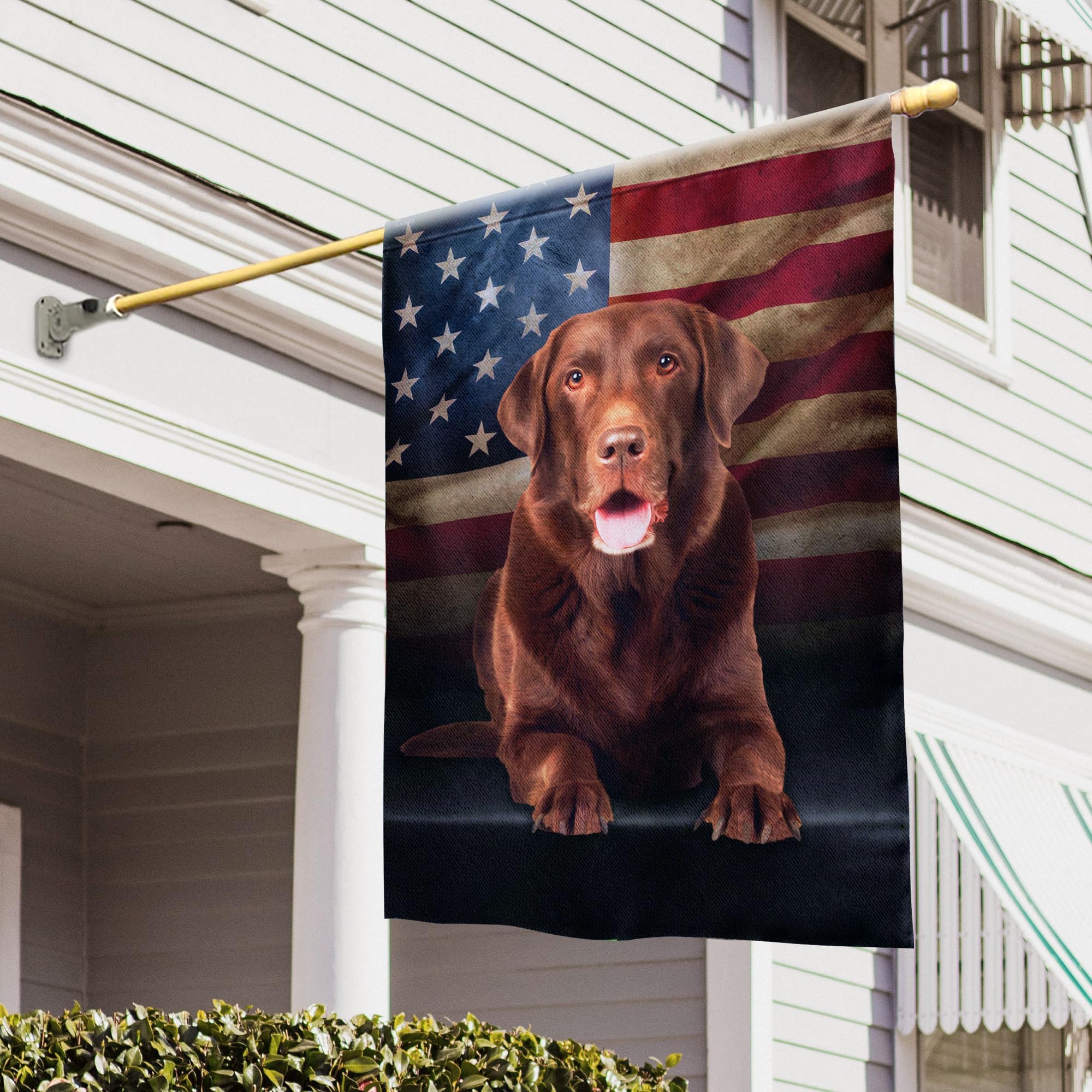 Amazon.com : Chocolate Labrador - Best of Breed All-American Patriotic ...