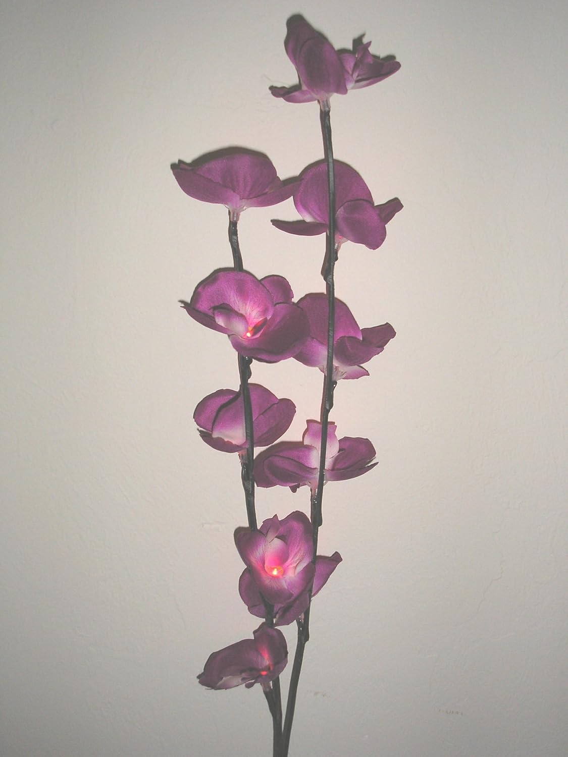 Amazon.com: Creative Motion Battery-Operated 10-Light LED Orchid Light ...