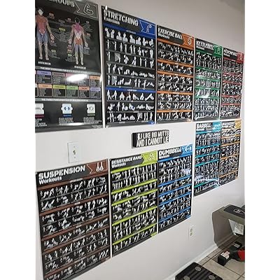 Buy 12-PACK] Laminated Large Workout Poster Set - Perfect Workout ...