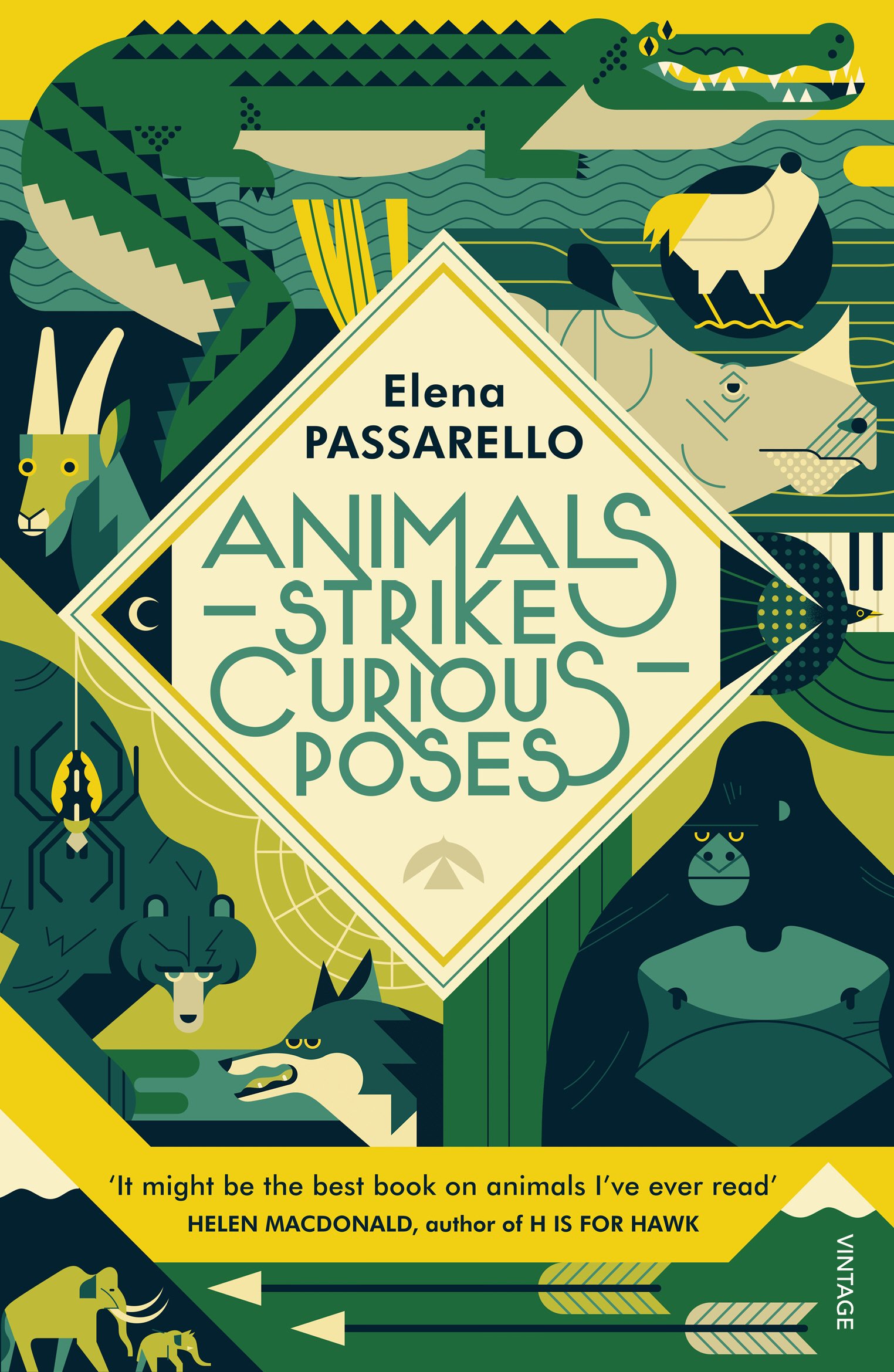 Animals Strike Curious Poses: Amazon.co.uk: Passarello, Elena ...